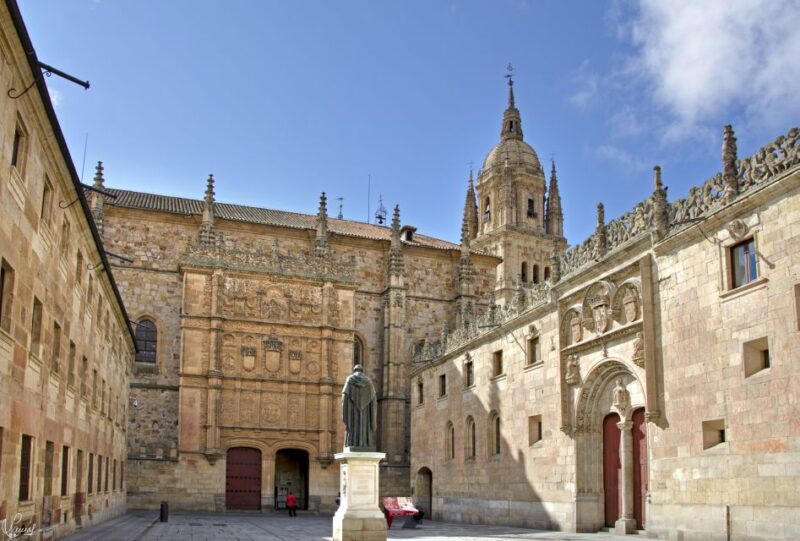 Salamanca: Private tour of the most important sites - Who Is This Tour Best For?
