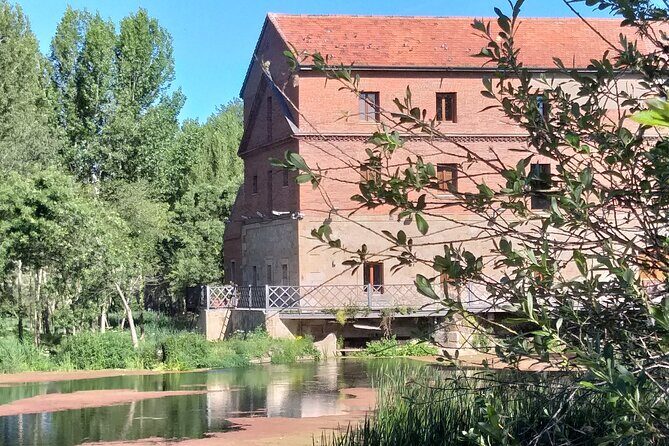 Salamanca Private Walking Tour with a Local - Key Points