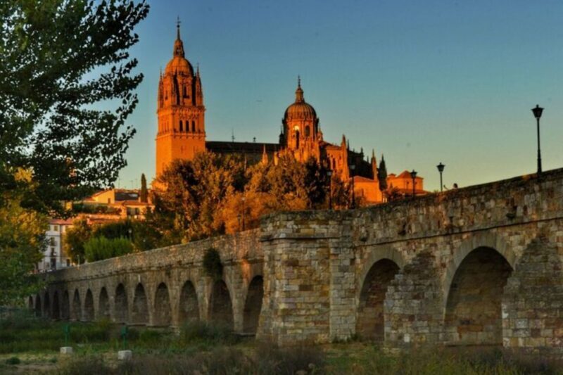 Salamanca: Private Walking Tour with a Local Guide - Key Points