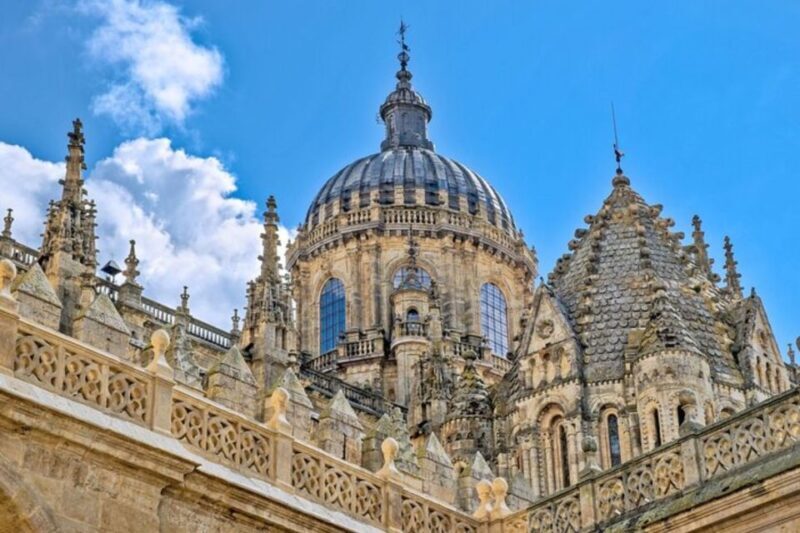 Salamanca: Private Walking Tour with a Local Guide - Why Choose the Salamanca Private Walking Tour?