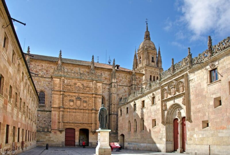 Salamanca: University and Colleges Walking Tour (Private) - An Engaging Walk Through Salamanca’s Academic Past