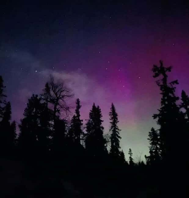Sälen: Northern Lights Snowshoe Adventure with Pickup - An In-Depth Look at the Sälen Northern Lights Snowshoe Tour