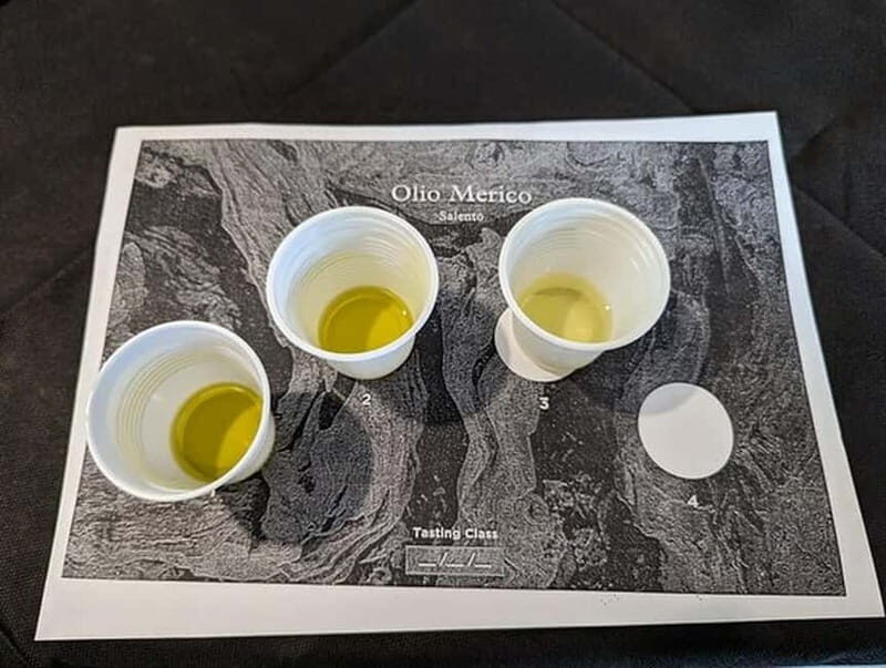 Salento: Olive Oil Mill Walking Tour with Tastings - Price and Value Analysis