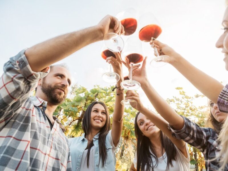 Salento Wine Tradition: Historic Cellar Visit & Tasting - Key Points