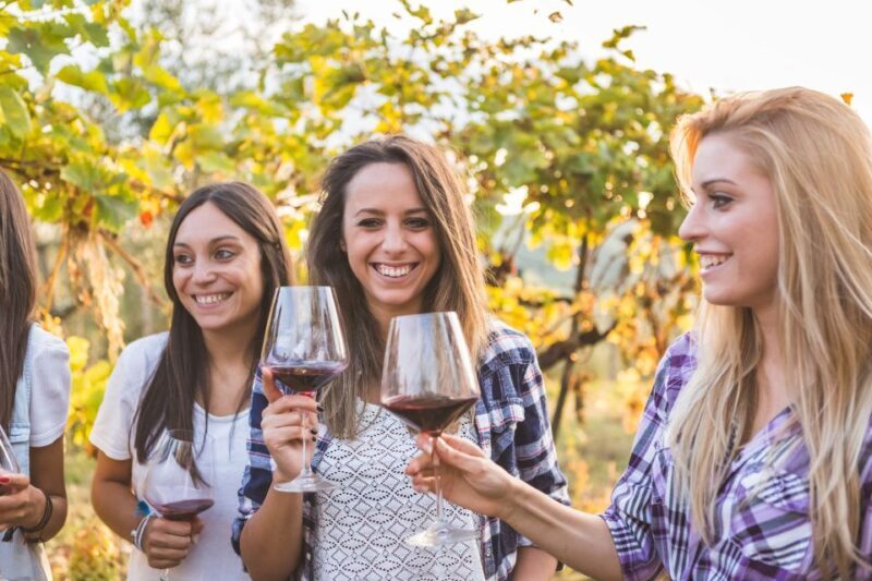 Salento Wine Tradition: Historic Cellar Visit & Tasting - An In-Depth Look at the Salento Winery Tour