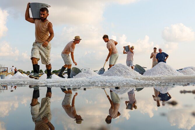 Saline Culcasi Full Immersion : From the Museum to the Salt Collection - Key Points