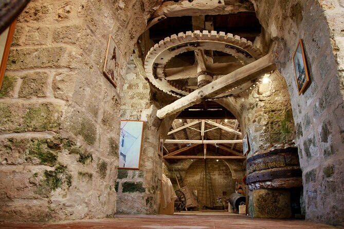 Saline Culcasi Full Immersion : From the Museum to the Salt Collection - FAQ