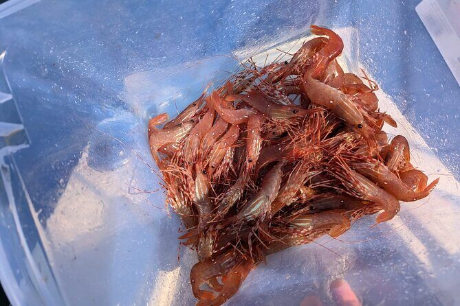 Salmon Fishing Charter in Vancouver - What Reviewers Say