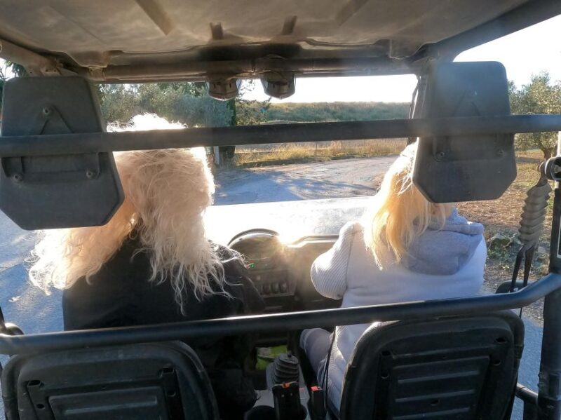 Salou: Buggy Safari with Hotel Transfer - An In-Depth Look at the Buggy Safari Experience