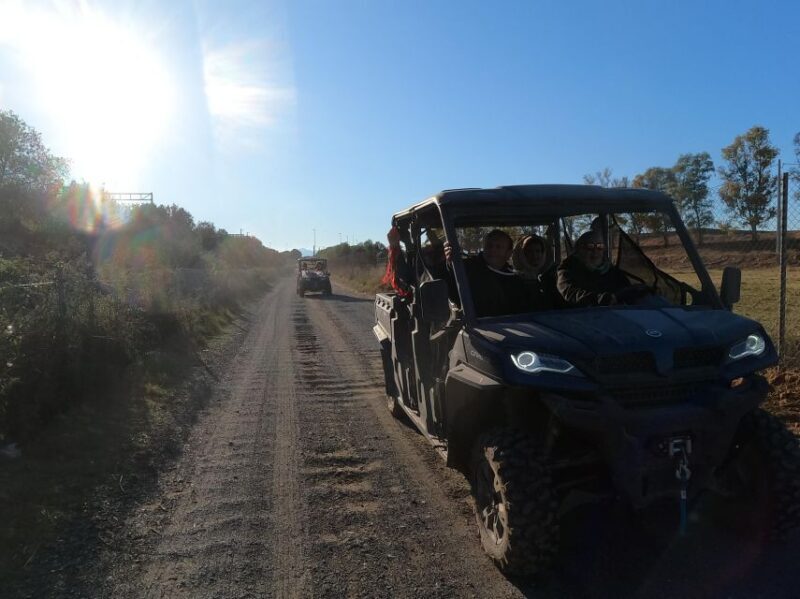 Salou: Buggy Safari with Hotel Transfer - Who Is This Tour Best Suited For?