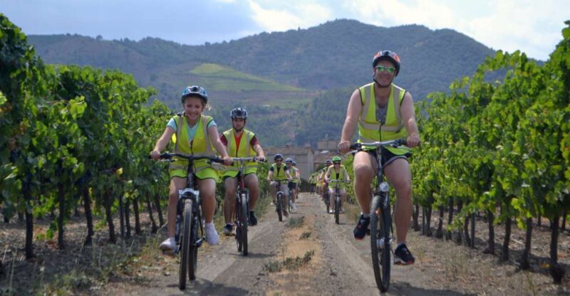 Salou: Easy Bike Tour with Wine Tasting - Guides and Group Size