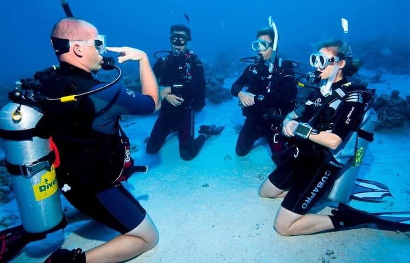 Salou: Fun Scuba Dive with Instructor (No License Needed) - The Itinerary and What to Expect