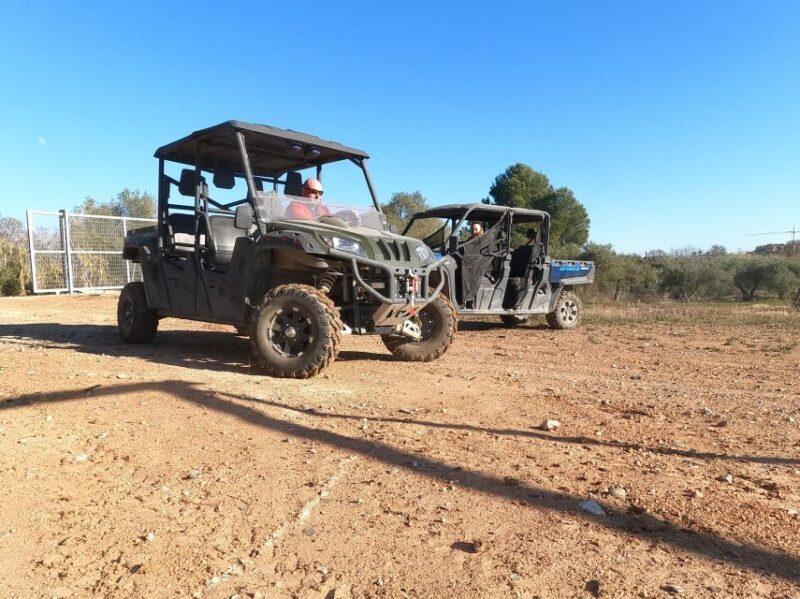 Salou: Kid's Buggy Driving Experience in Safe Environment - Key Points