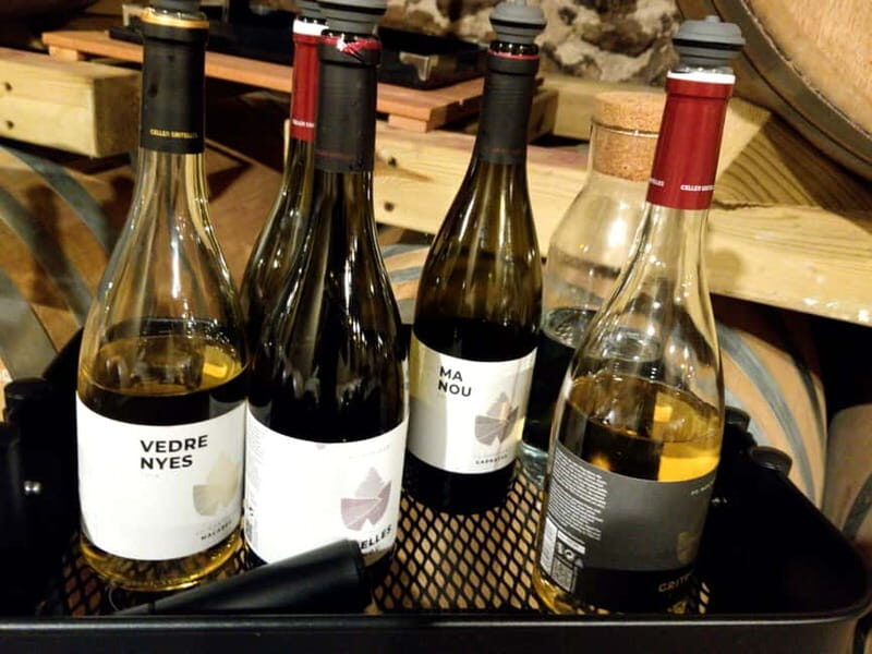 Salou: Priorat tasting Wine-Cellar Tour with hotel pickup - An Overview of the Tour Experience