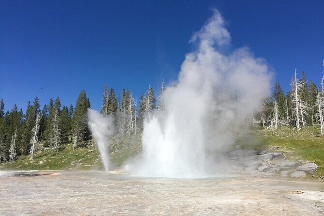 Salt Lake City to Yellowstone and Mt Rushmore 4 Day Tour - FAQs