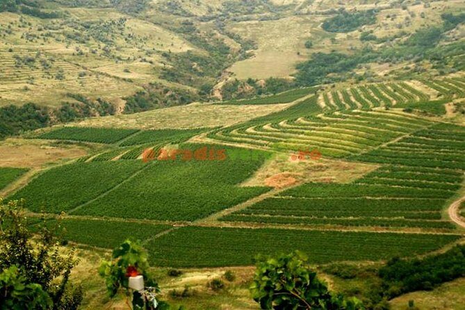 Salt Mine , Lunch at Winery & Dracula Grave - Private Tour - What We Love About This Tour