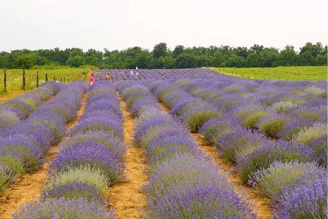 Salt Mine - Slanic Prahova - Detailed Review of the Salt Mine Tour in Slanic Prahova