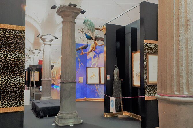 Salvador Dalí Exhibition in Bruges Admission Ticket - The Experience and Atmosphere