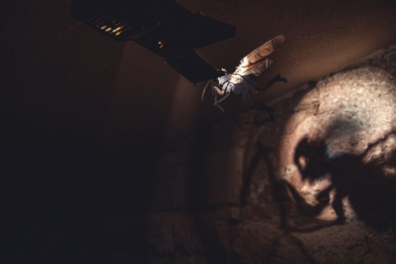 Salzburg Cathedral: Guided Tour with Entry Ticket - Discovering Salzburg Cathedral: A Closer Look