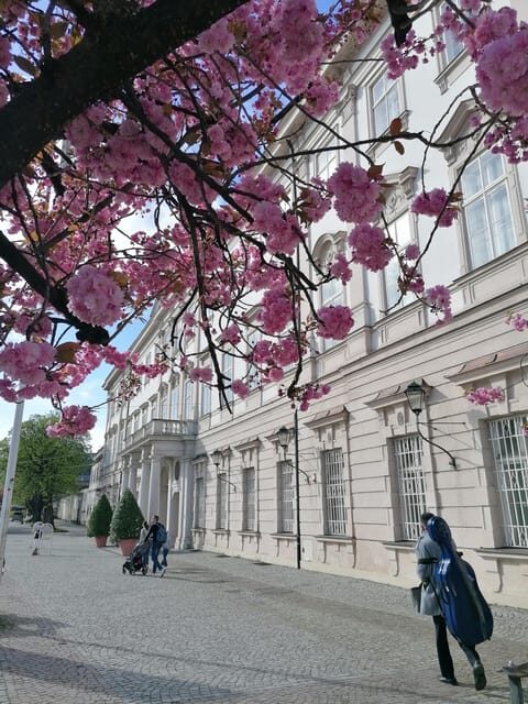 Salzburg: Classical Music Concert at the Mirabell - The Musical Experience