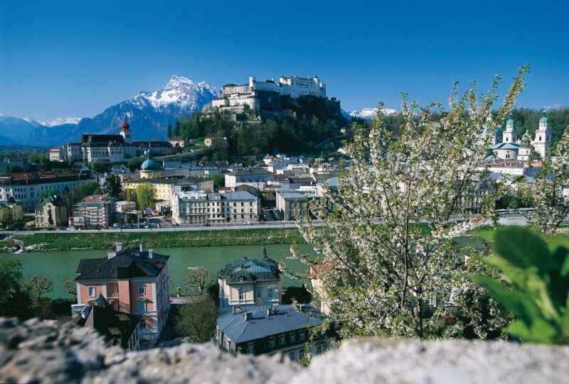 Salzburg: Sound of Music Private Half-Day Tour - Why You’ll Love This Tour