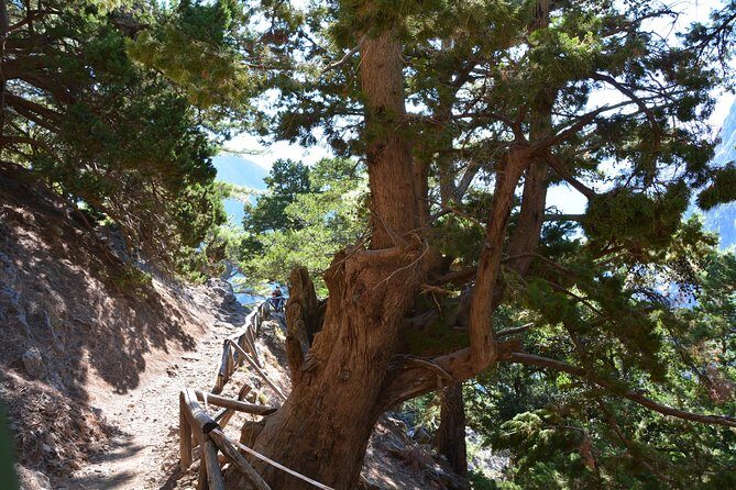 Samaria Gorge Hike - Key Points