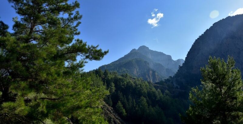 Samariá Gorge Hike: Day Excursion from Chania - The Value of the Experience