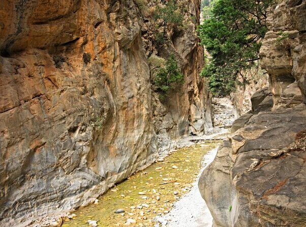 Samaria Gorge Hiking Tour from Chania with Professional Guide - Key Points