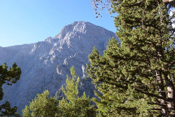 Samaria Gorge Hiking Tour from Chania with Professional Guide - What to Pack and Prepare for