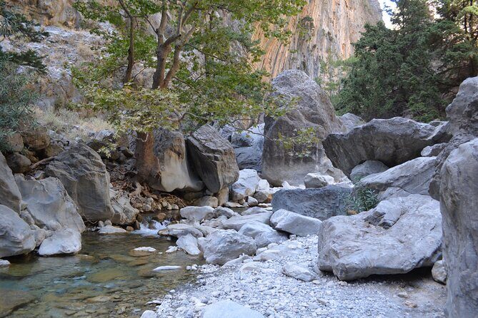Samaria Gorge Hiking Tour from Chania with Professional Guide - The Value for Money and Overall Experience