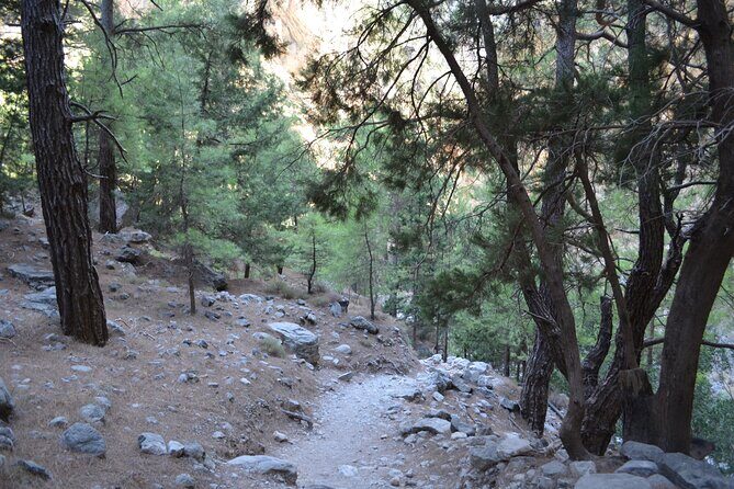 Samaria Gorge Hiking Tour from Chania with Professional Guide - Final Thoughts