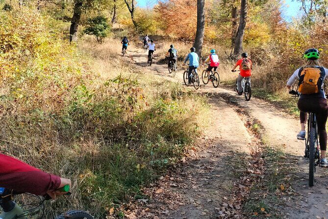 Sambata de Sus: E-Bike Guided Tours - Introduction