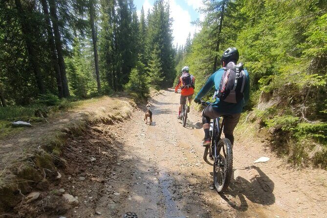 Sambata de Sus: E-Bike Guided Tours - Who Would Love This Tour?