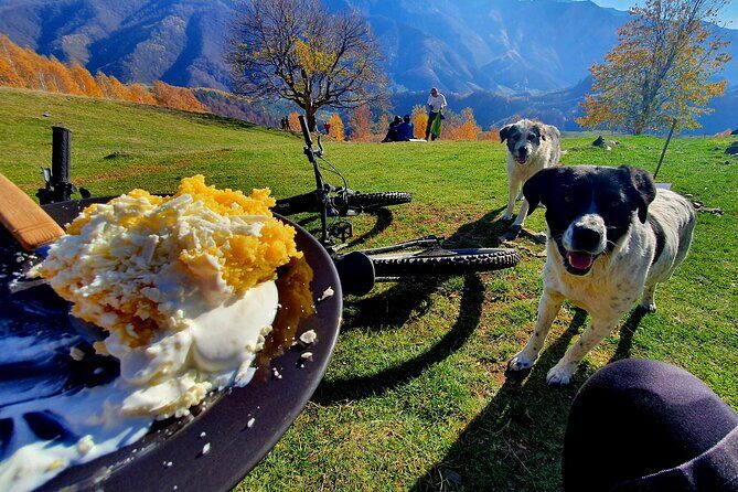 Sambata de Sus: E-Bike Guided Tours - The Sum Up