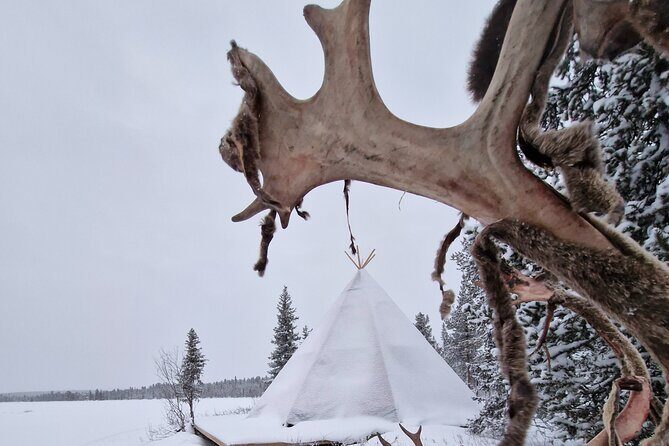 Sami day tour adventure - FAQ