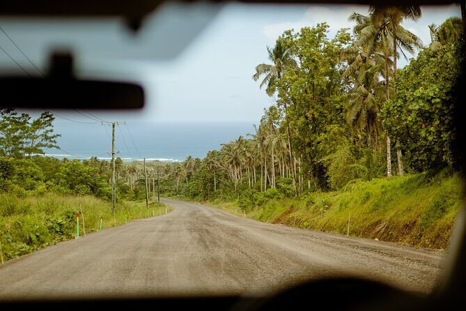 Samoa Apia: Cruise Ship Shore Excursion - Final Thoughts
