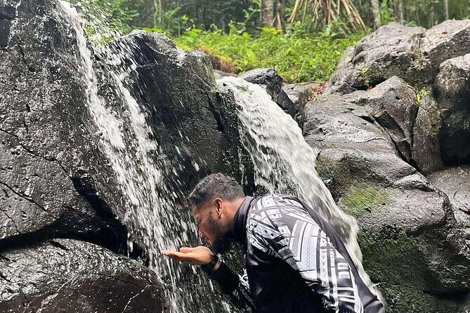 Samoa in a Day: Customizable Tour of Beaches, Waterfalls, Culture - Who Will Appreciate This Tour?