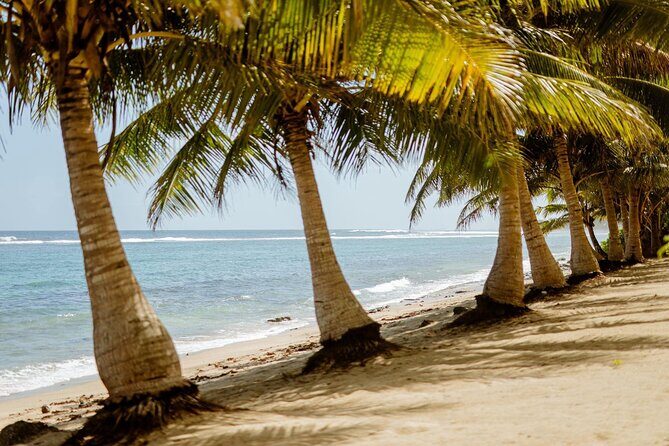 Samoa Upolu: Full Day Private Tour - Discovering Samoa with a Private Touch