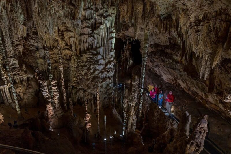 San Antonio: Discovery Tour at Natural Bridge Caverns - What to Expect During the Tour