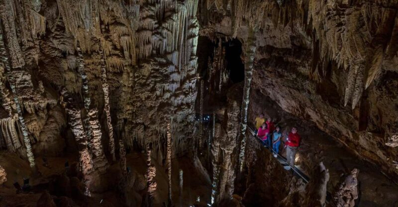 San Antonio: Discovery Tour at Natural Bridge Caverns - The Authentic Experience