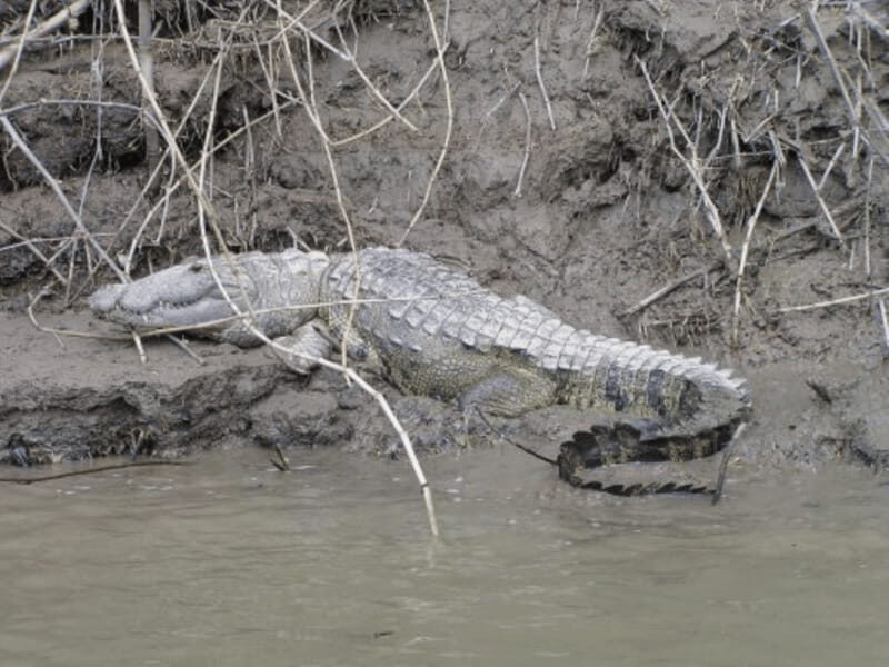 San Cristobal: 2 Days in the Southern Selva Lacandona Tour - Discovering Chiapas’ Natural Splendors in Two Days
