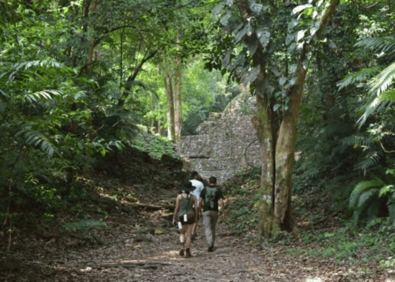 San Cristobal: 3 Days Expedition of North Lacandona Jungle - Key Points