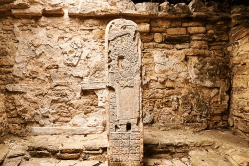 San Cristobal: 3 Days Expedition of North Lacandona Jungle - Who Should Consider This Tour?