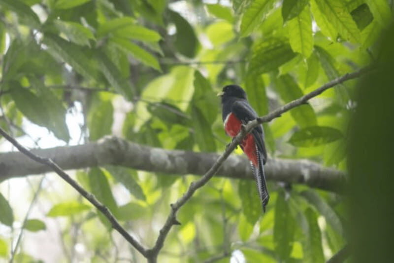 San Cristobal: 4 Days Nature Tour in the Lacandon Jungle - Value and Practical Considerations