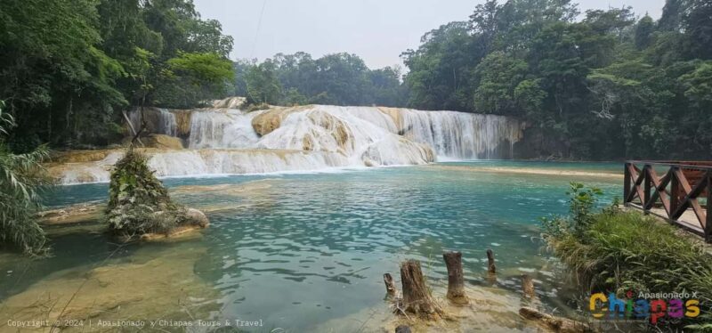 San Cristobal: Agua Azul, Misol Ha & Palenque Experience - Final Thoughts