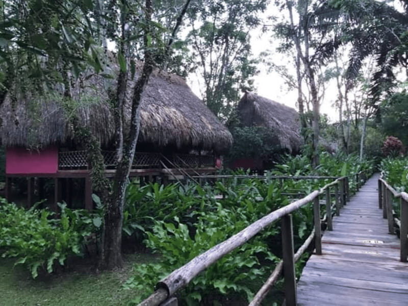 San Cristobal: Coffee Tour in the Mountains of Chiapas - An Authentic Coffee Journey in the Chiapas Mountains