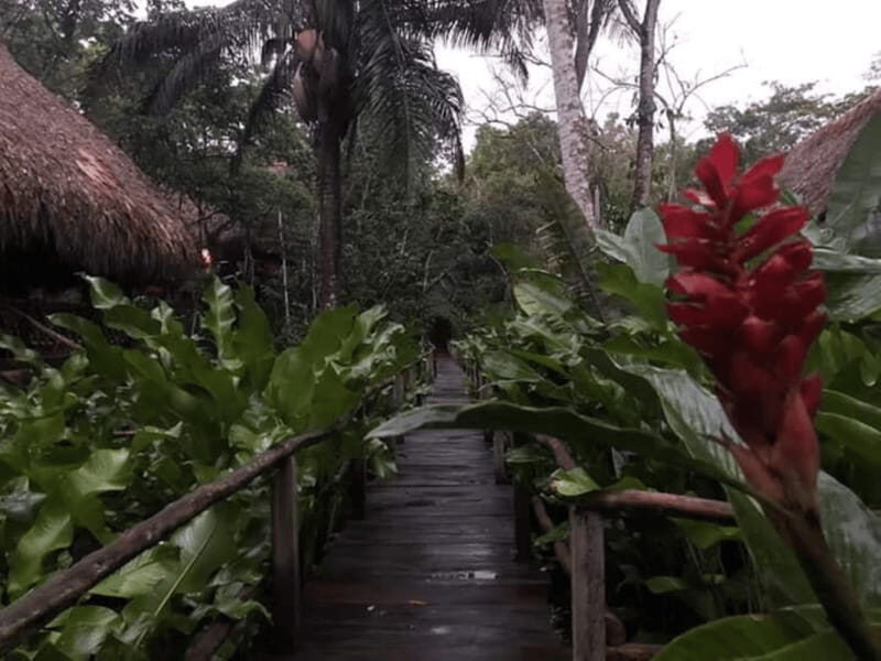 San Cristobal: Coffee Tour in the Mountains of Chiapas - Why This Tour Offers Great Value