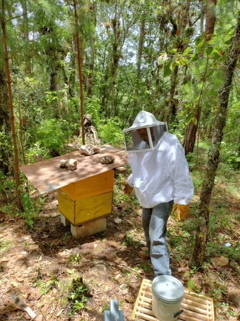 San Cristobal: Huixtan Adventure with Traditional Activities - An In-Depth Look at the Huixtan Adventure