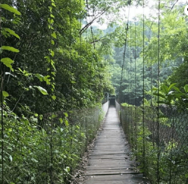 San Cristóbal: Las Nubes Waterfall & Comitán Tour - Why This Tour Is a Great Choice