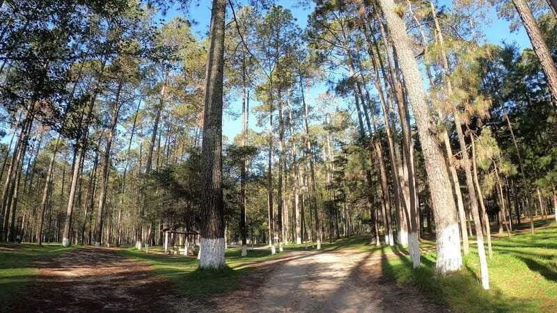 San Cristobal: Rancho Nuevo Caves and Arcotete Tour - Value and Overall Experience